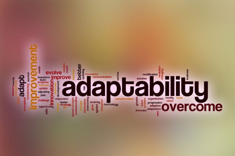 Adaptability: Definisi, Contoh, dan Cara Mengembangkannya!